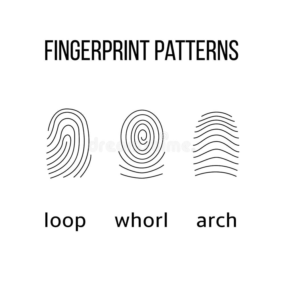 Fingertip Patterns Stock Illustrations – 19 Fingertip Patterns Stock ...