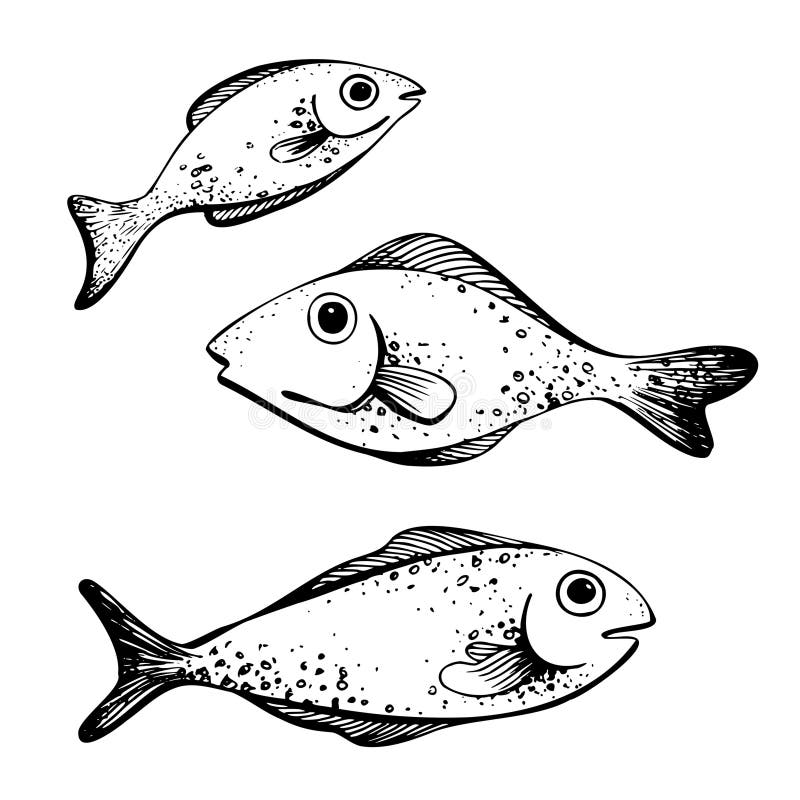 Fish Technique Stock Illustrations – 1,072 Fish Technique Stock ...