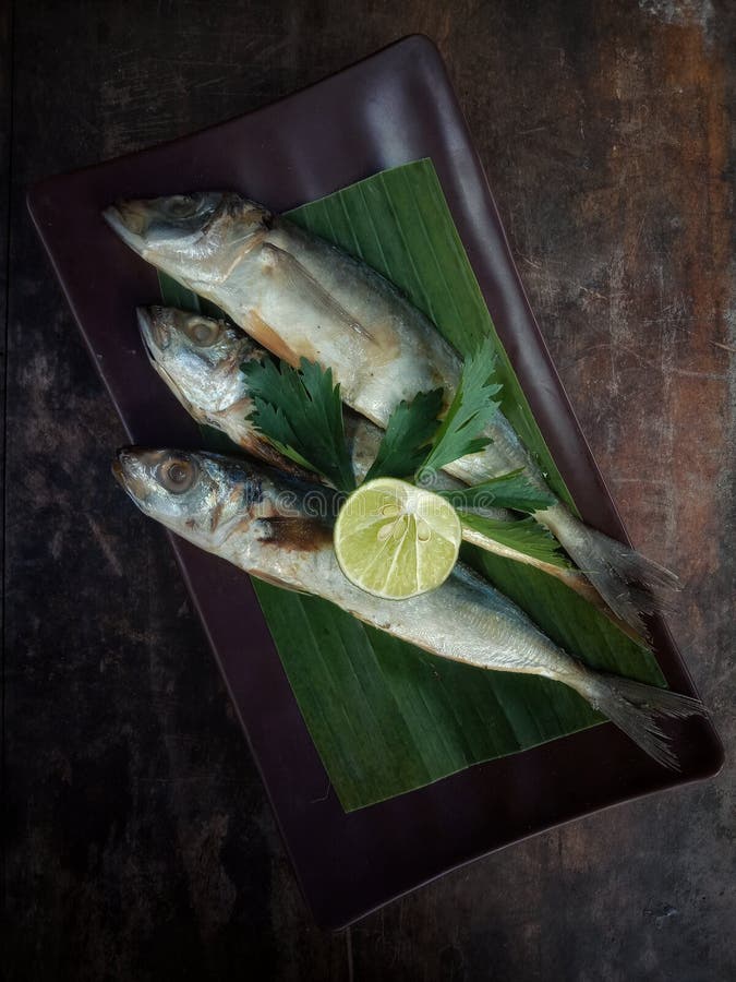 Three Fish on the Table with High Angle Stock Image - Image of leaf ...