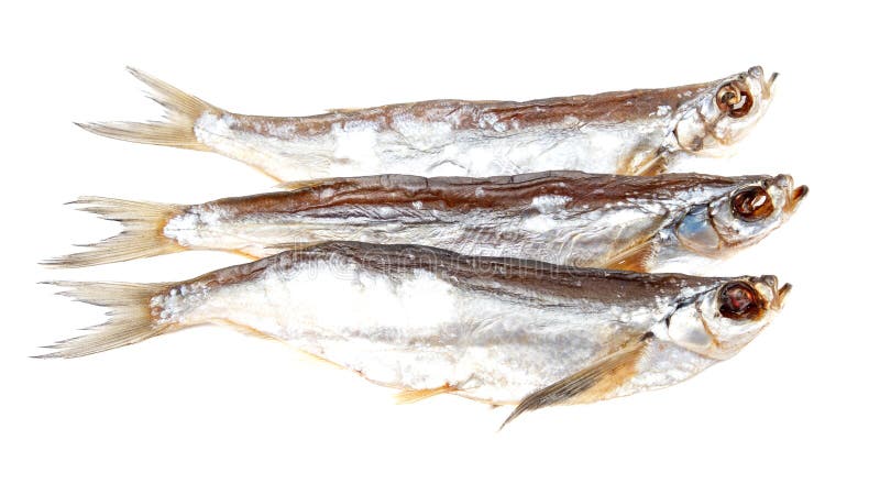 Three Fish are on a White Background Stock Image - Image of direction ...