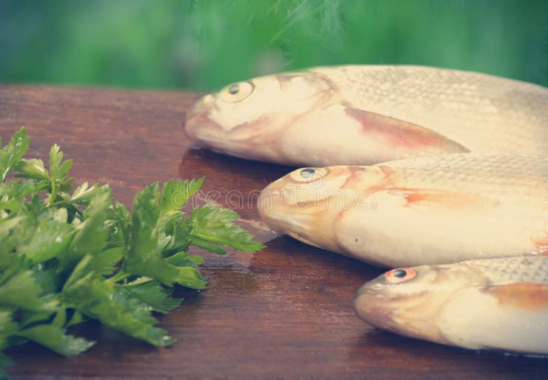 A Three Fish Fountain on the Square Stock Image - Image of color ...