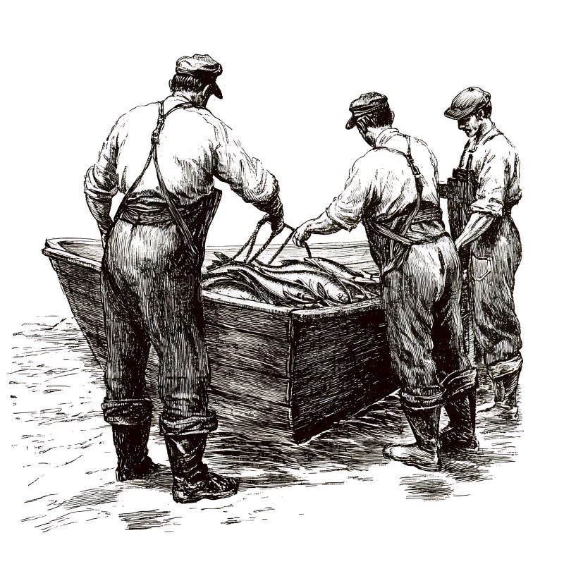 Three Fishermen Sorting Their Catch of Fish in a Small Boat Stock ...