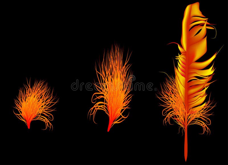 Fire peacock stock illustration. Illustration of dynamic - 777946