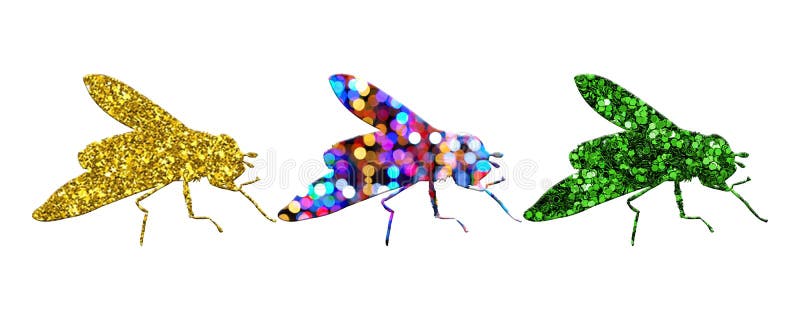Three Flies with Different Patterns Isolated on a White Background ...