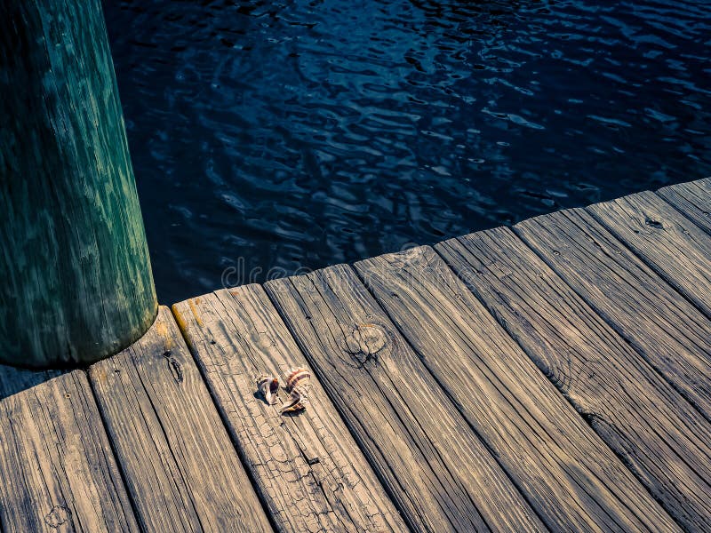 Old Weathered Dock on Waterway Stock Image - Image of waterway, trees ...