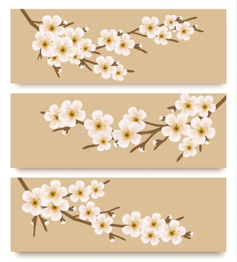 Three Flower Banners Stock Illustrations – 1,058 Three Flower Banners ...