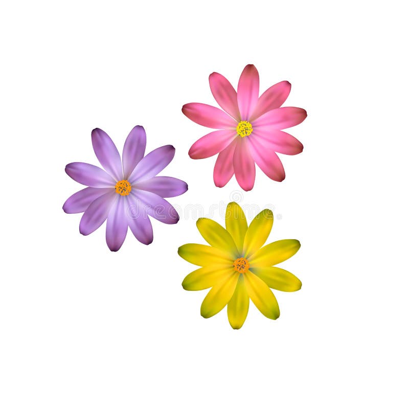 Three Flowers of Different Colors, Vector Flowers Stock Illustration ...