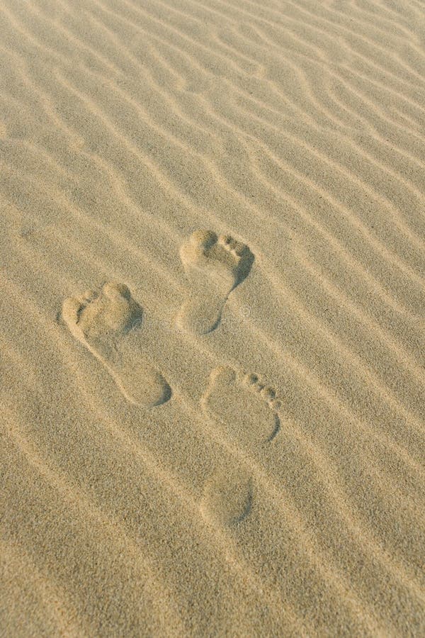 Footprints in wet sand stock photo. Image of beach, barefoot - 22220398