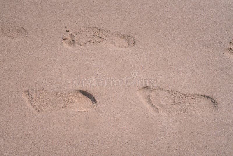 Three Footprints at Wet Fine Sand on Tropical Beach. Sunny Day Stock ...