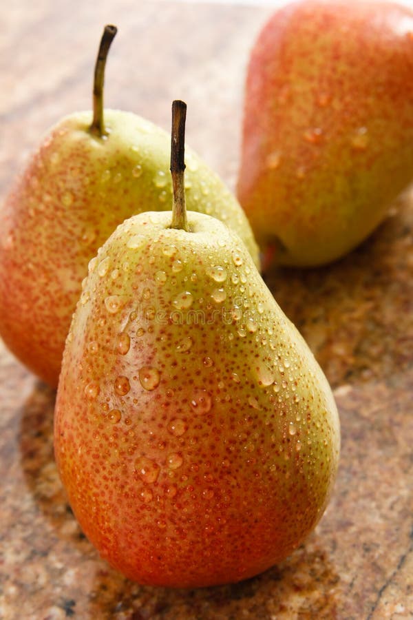 Three Forelle Pears stock photo. Image of refreshing - 18486986