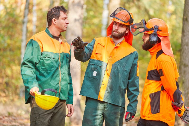 Forest Workers in Protective Clothing when Working on Wood Stock Photo ...