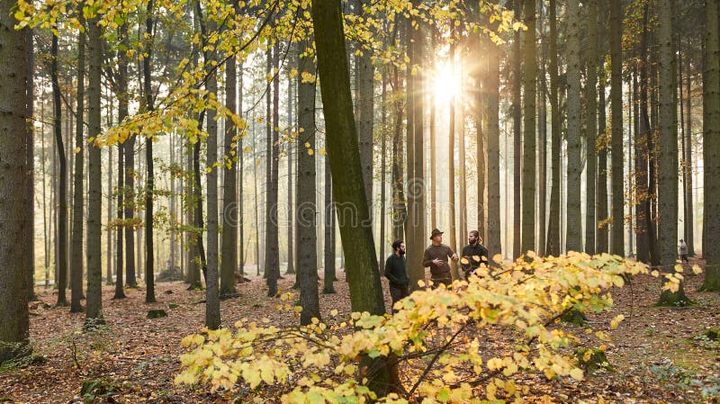 Three Foresters in the Autumn in the Forest Stock Photo - Image of ...