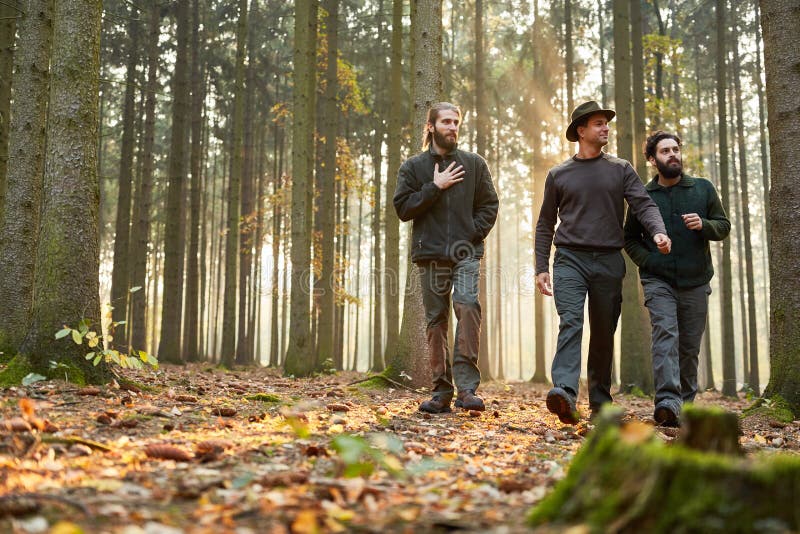Three Foresters Walk Together through Forest Stock Photo - Image of ...