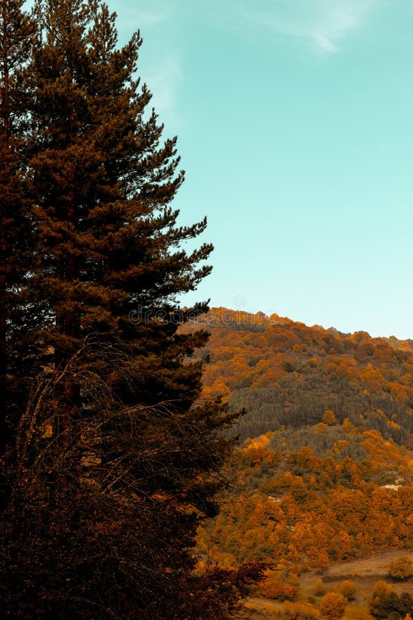 Three Frame Composition with Nature. Stock Photo - Image of clear ...