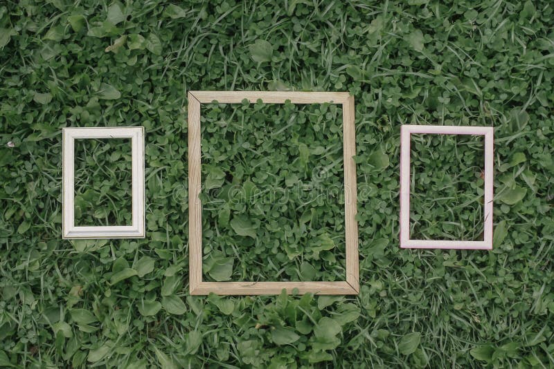 Three Frame on Green Grass Background. Stock Photo - Image of ...