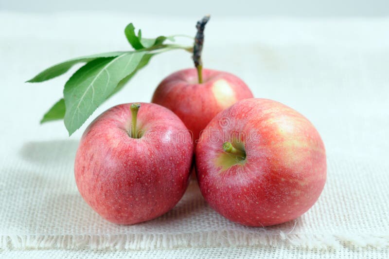 Three fresh apples stock image. Image of delicious, fruit - 40810567