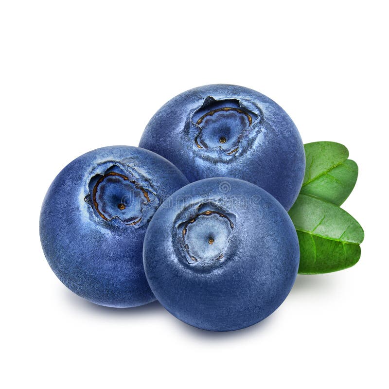 Three Blueberries With Leaves Stock Image - Image of huckleberry, color ...