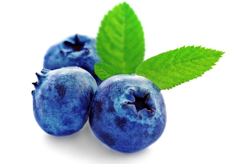 Three fresh blueberry stock photo. Image of food, heap - 33544624