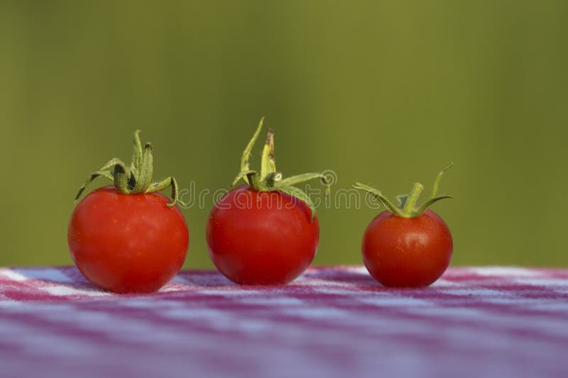 Three Fresh Cherries on the Table on Green Baackground Stock Photo ...