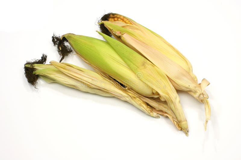 Three fresh corn cobs stock photo. Image of green, kernel - 11042514