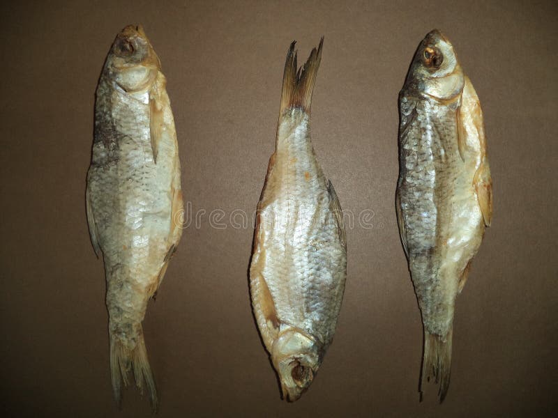 Three Fresh Dried Fish Roach Stock Photo - Image of delicious, fishing ...