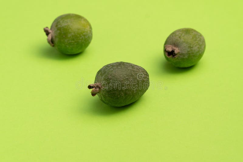 Three Fresh Feijoa Fruits on Bright Green Surface. Studio Close-up Shot ...