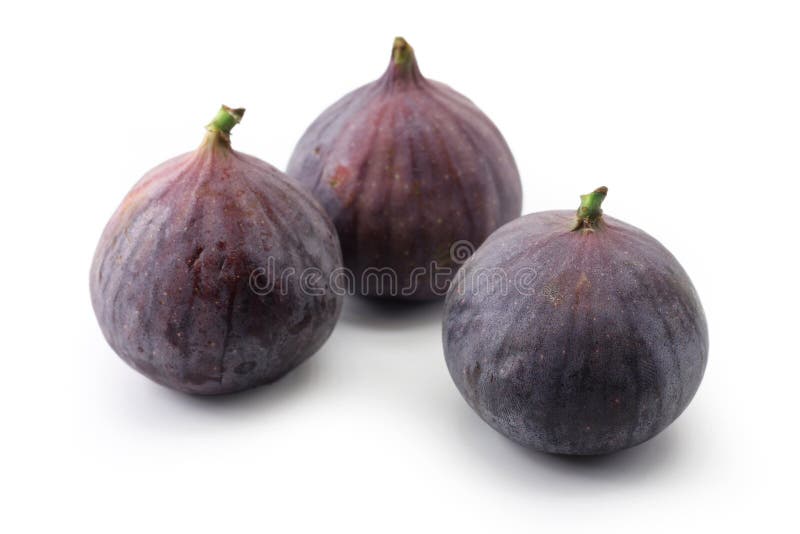 Three fresh figs stock photo. Image of sweet, tropical - 10911804