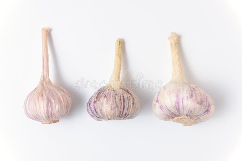 Three Raw Garlic Lie Side by Side on a White Background. Stock Image ...