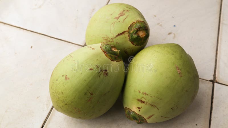 Fresh and Green Young Coconuts Stock Photo - Image of three, sweet ...