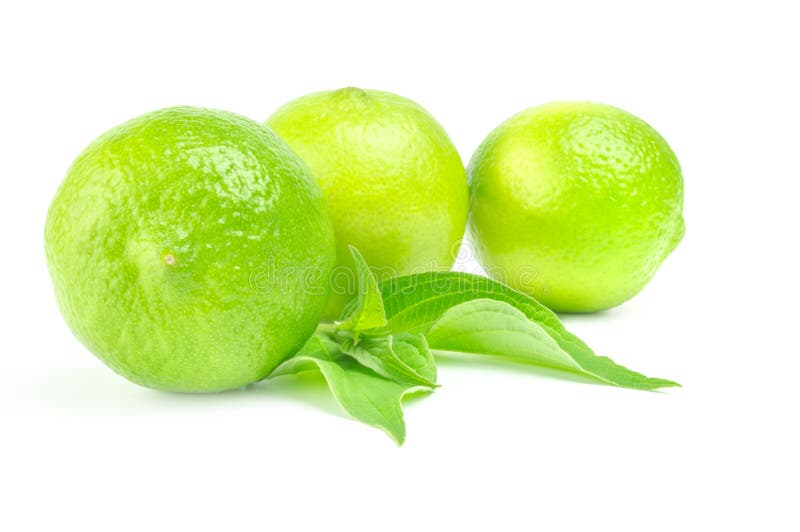 Three Fresh Limes Isolated on White Background with Leaves Stock Image ...