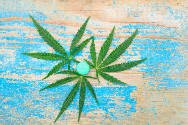 Three Fresh Marijuana Leaves and One Tablet in the Center Stock Image ...