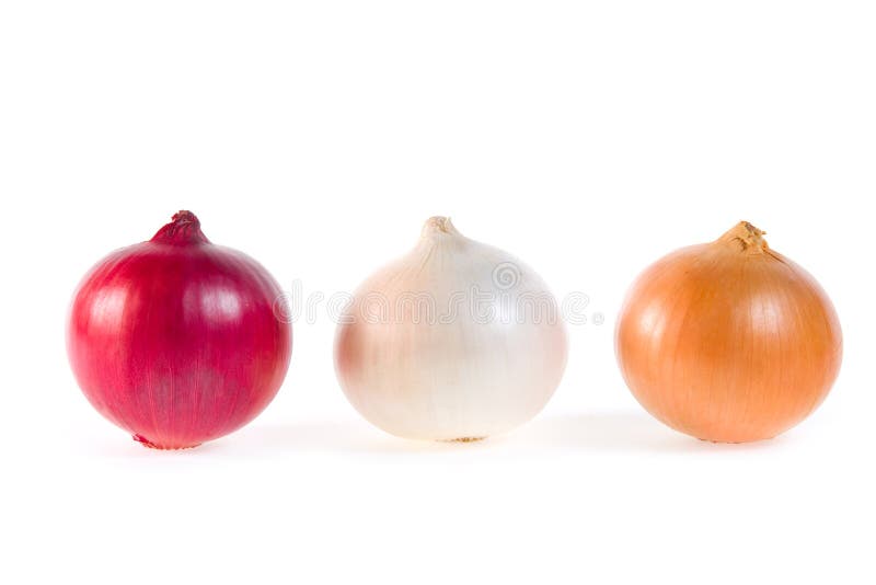 Three fresh onions stock photo. Image of isolated, onion - 5310590