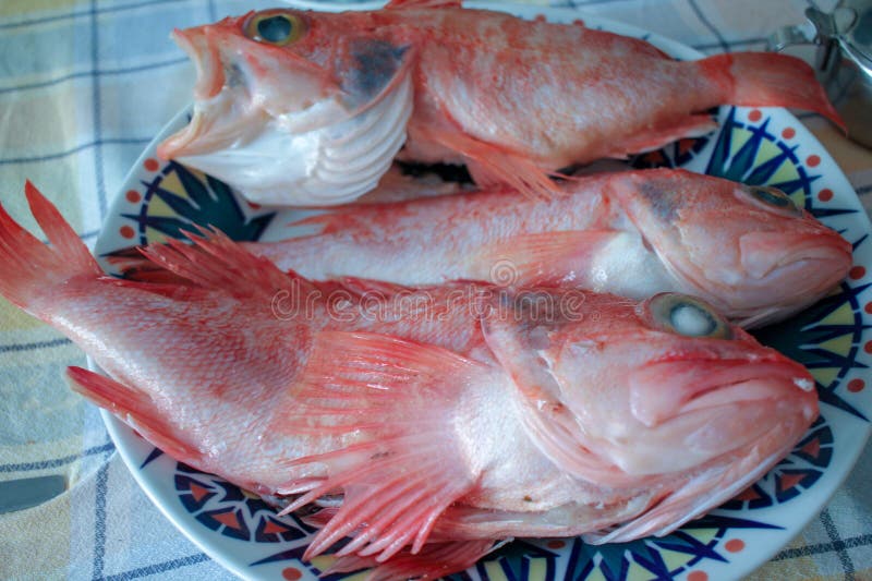 Three Fresh Red Breams Dish Stock Photos - Free & Royalty-Free Stock ...