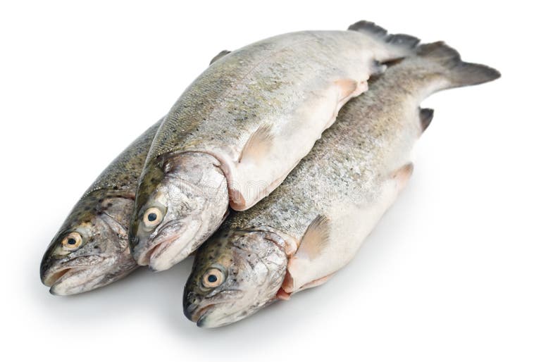 Three Fresh Trout Fish, Diagonal Stock Photo - Image of seafood ...