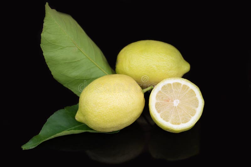 Three Fresh Yellow Lemons Lie Side by Side. a Lemon is Cut in Half ...