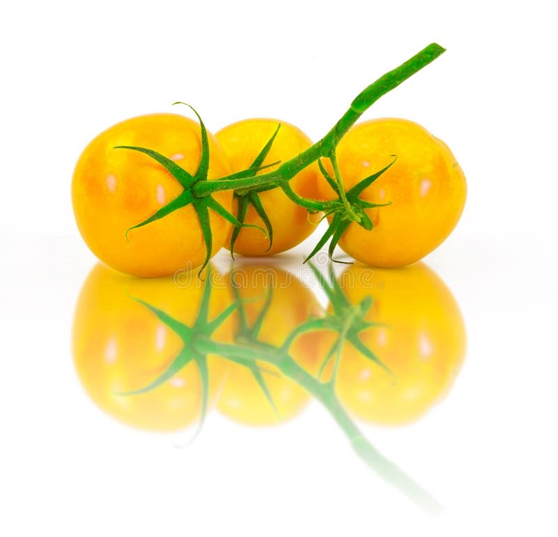 Three Fresh Yellow Tomatoes on a White Background Stock Photo - Image ...