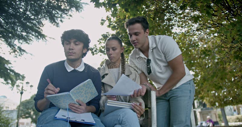Three College Friends Working on Homework Together in a Sunny Park ...