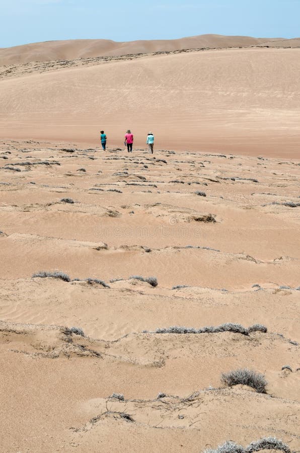 Three Friends Walking in the Desert - Back View Editorial Photography ...
