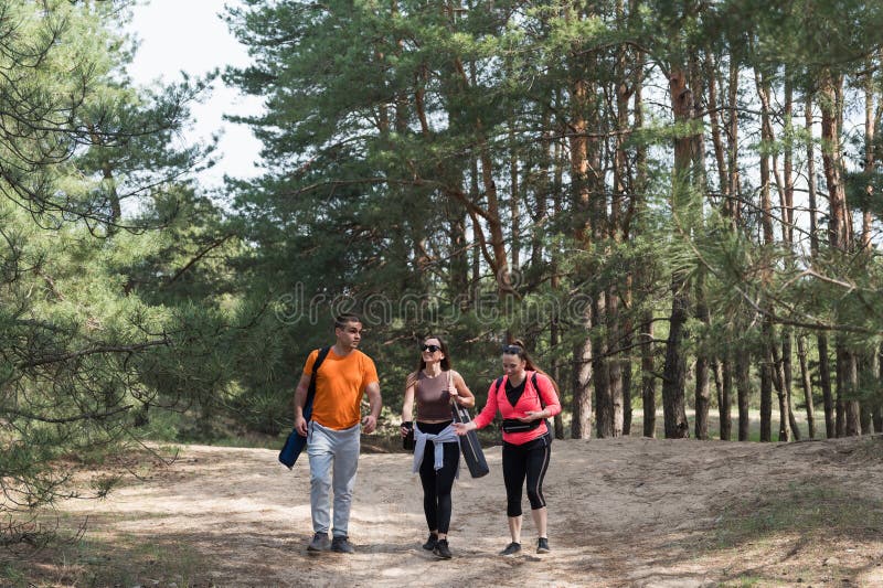 Three Friends are Walking in the Forest Stock Image - Image of journey ...