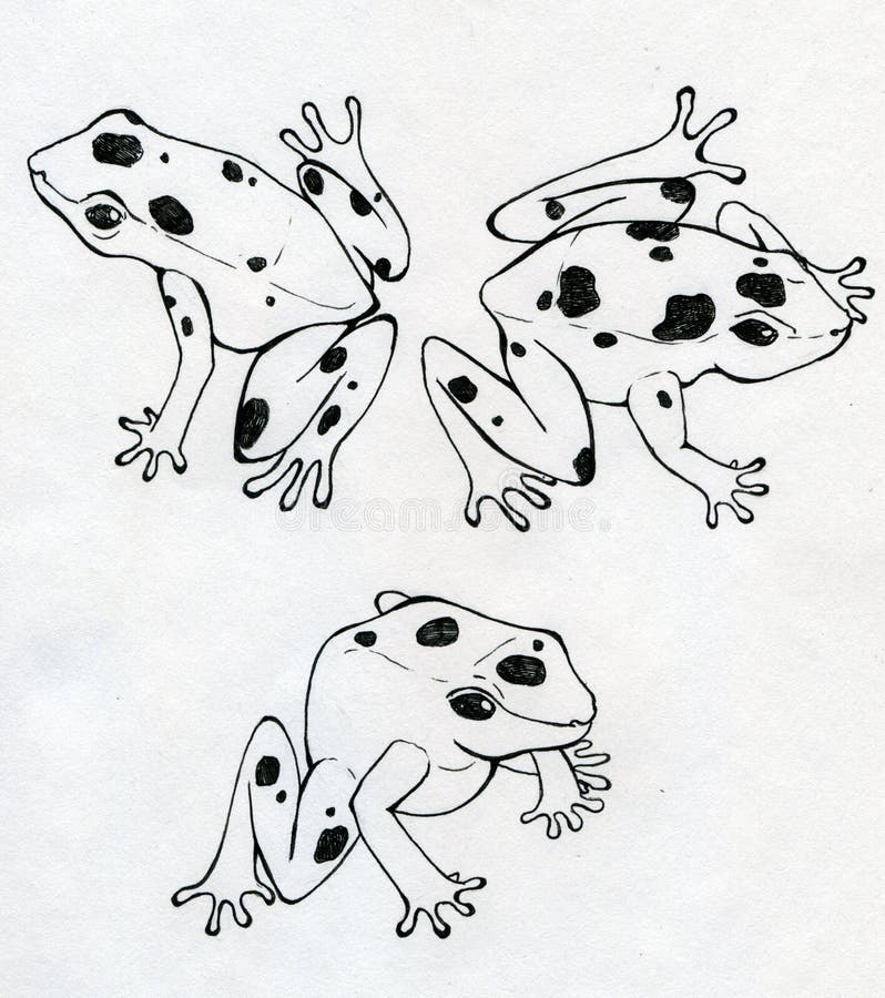 Three frogs stock illustration. Illustration of artwork - 36774436