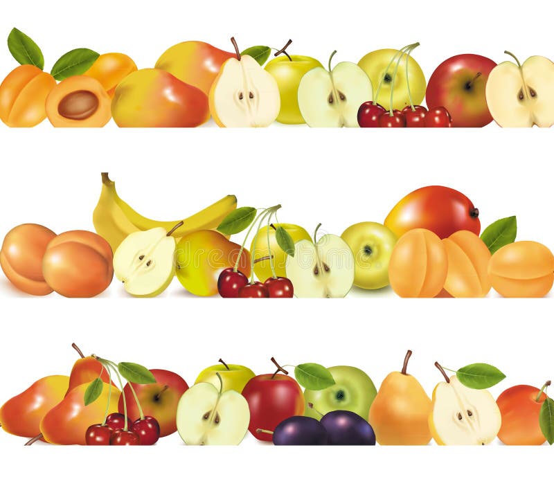 Three fruit design borders stock illustration. Illustration of piece ...