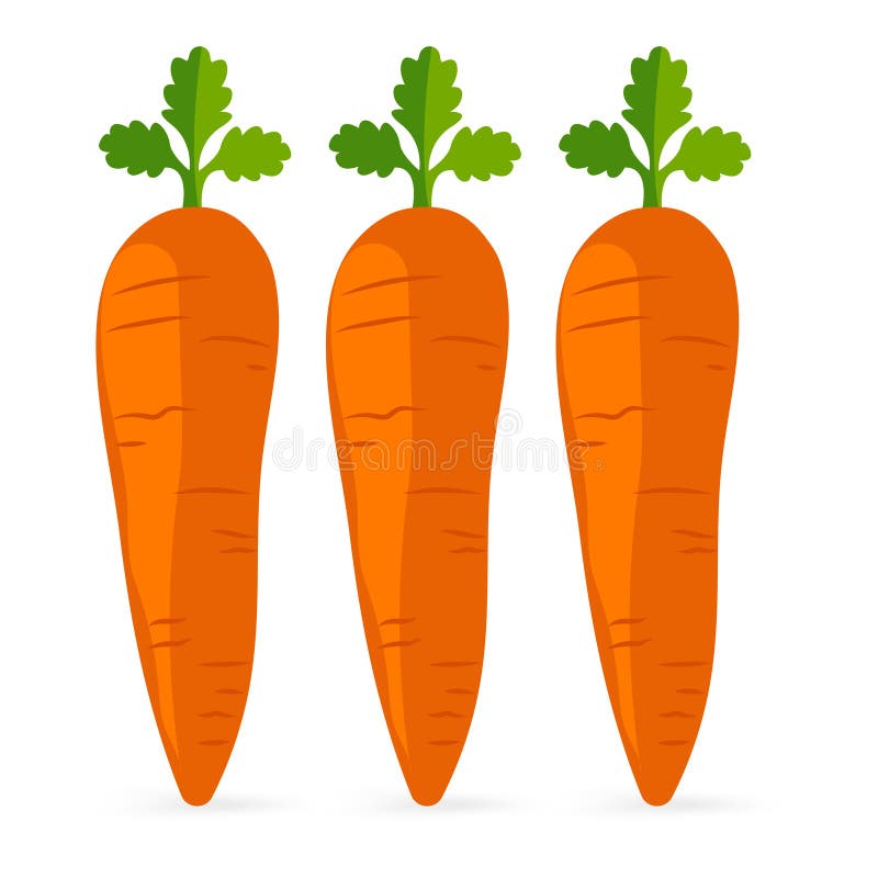Three Fruity Carrots Vector Icon and Symbol Isolated on White ...