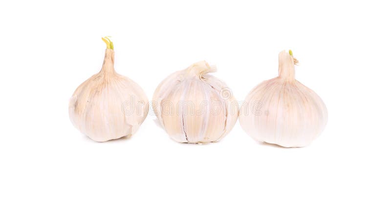 Three garlic bulbs. stock photo. Image of nature, objects - 40724960