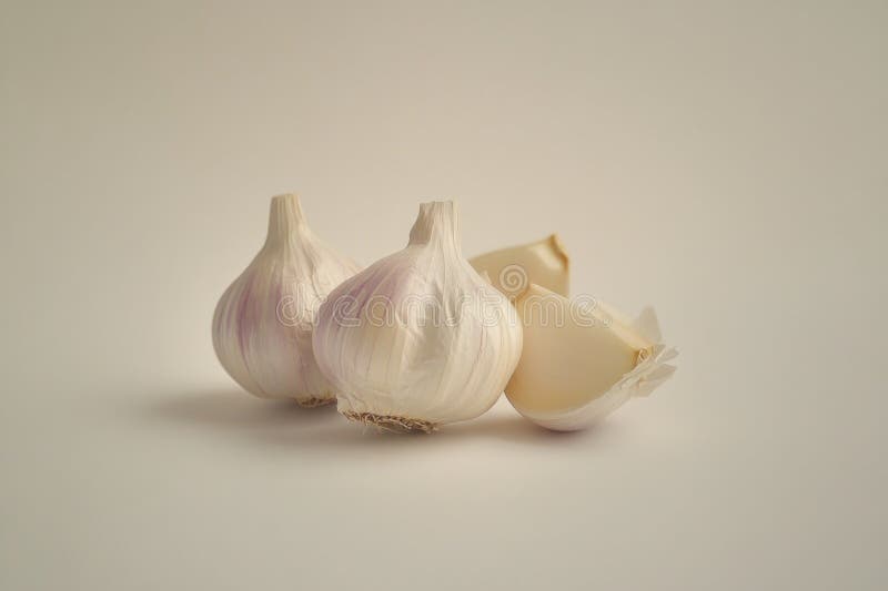 Three garlic bulbs stock photo. Image of food, plants - 379743402