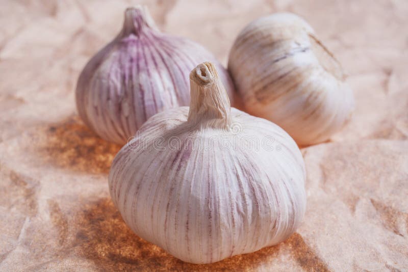 Three garlic on paper stock image. Image of gourmet, smell - 41488291