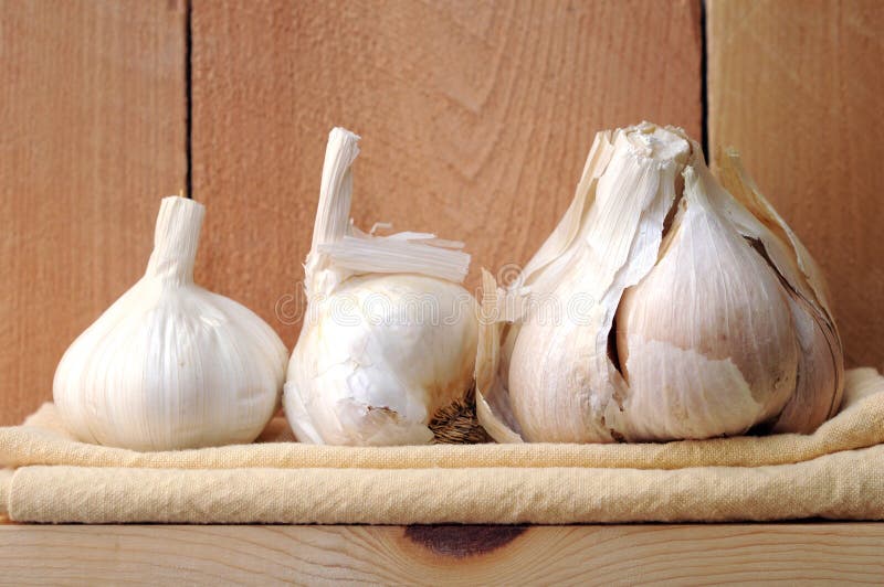 Three garlics stock image. Image of kitchen, plant, organic - 32391443