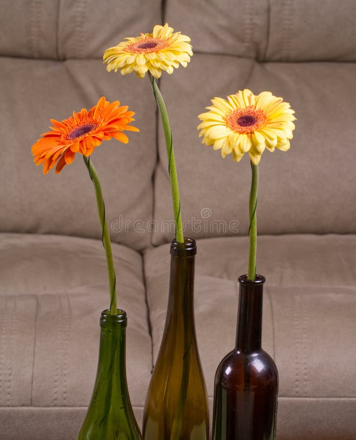 Three gerberas stock image. Image of floor, colorful - 20334099