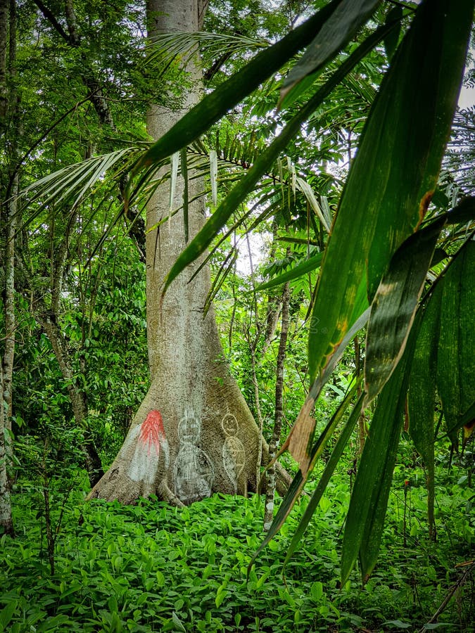 Three Ghost Image on a Big Tree in the Middle of Forest Stock Image ...