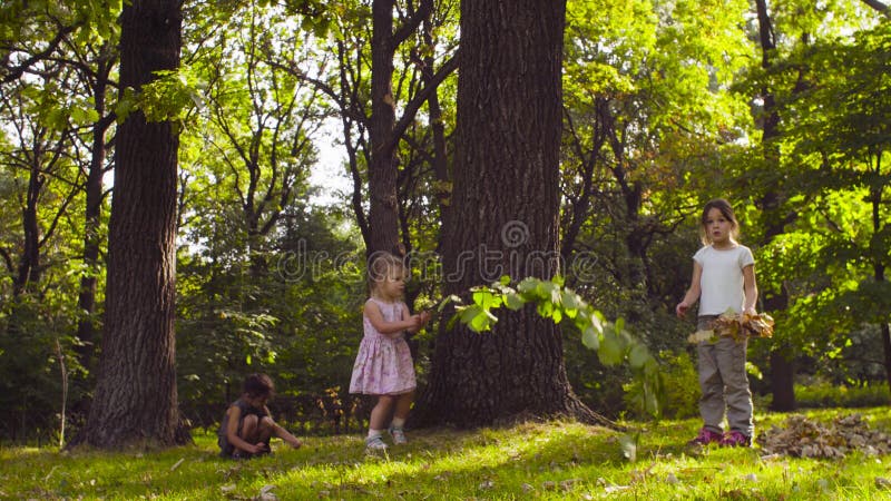 Three Girls Playing in the Park on the Grass among the Trees Stock ...