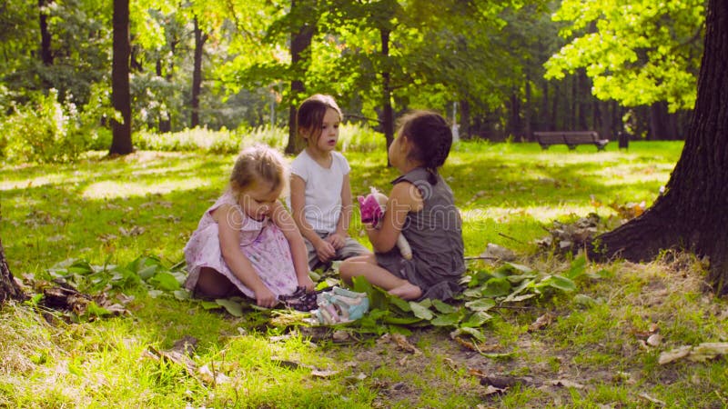 Three Girls Sitting in the Park on the Grass Near the Tree Stock Photo ...